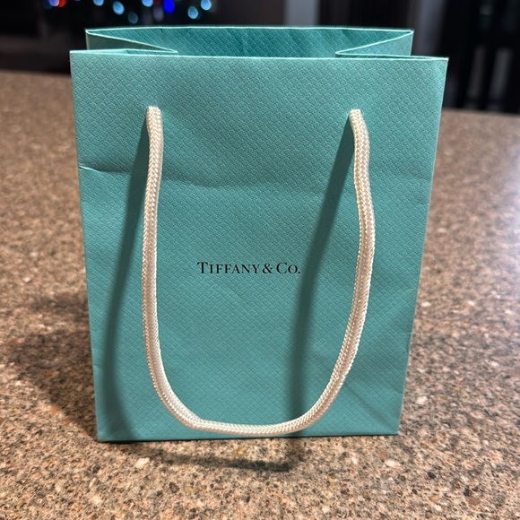 Tiffany & Co. | Bags | Tiffany Co Bag | Poshmark